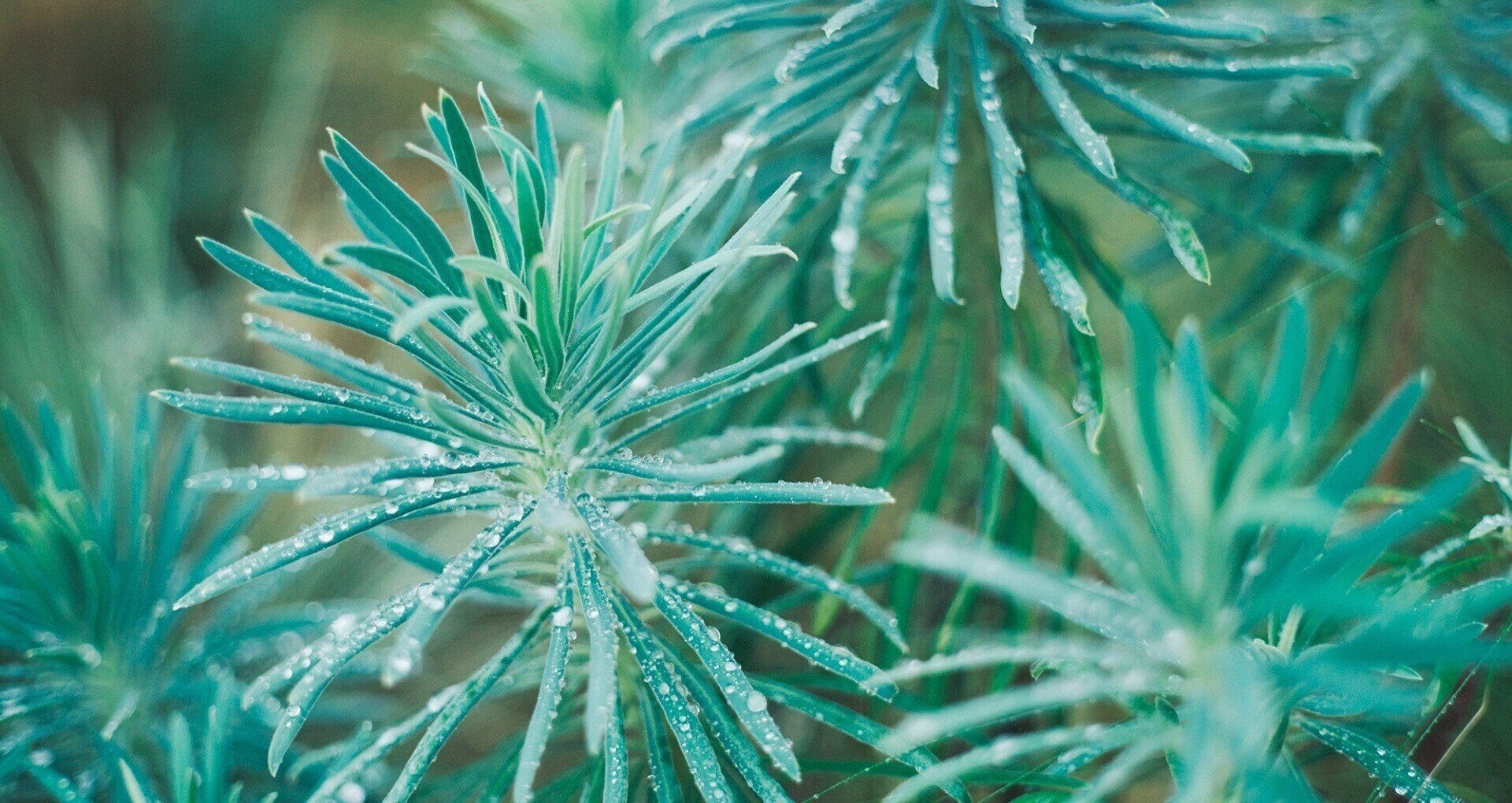 大島 有貴(Yuki Oshima)｜note