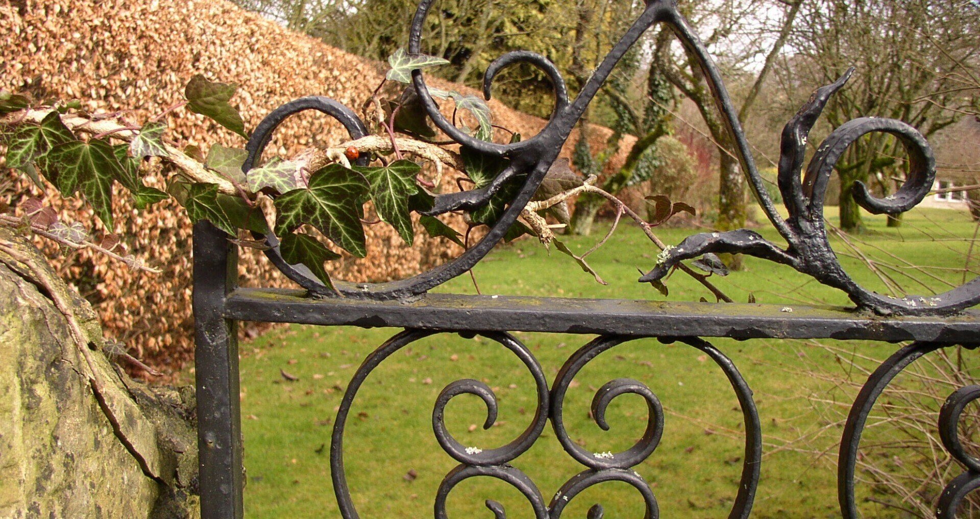 notari_kutari のたりくたり｜note