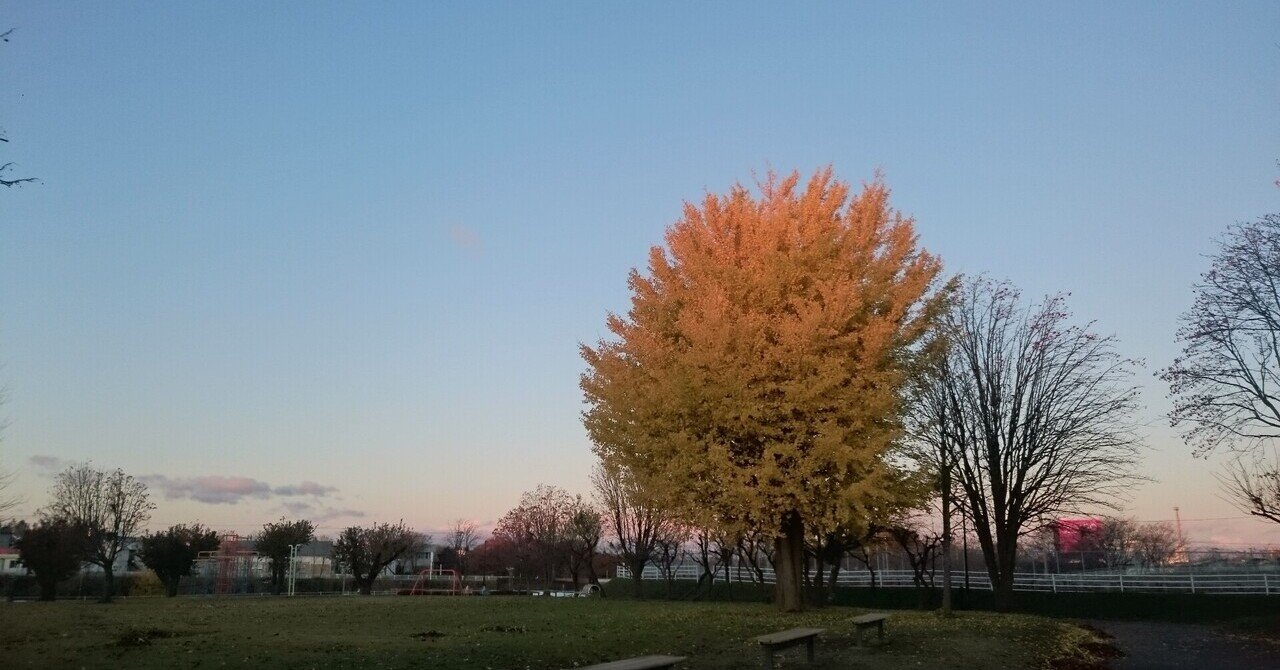 奇跡のコース実践記録22｜(Linp&Ruru)本当の自分を知り、本当の自分として生きる