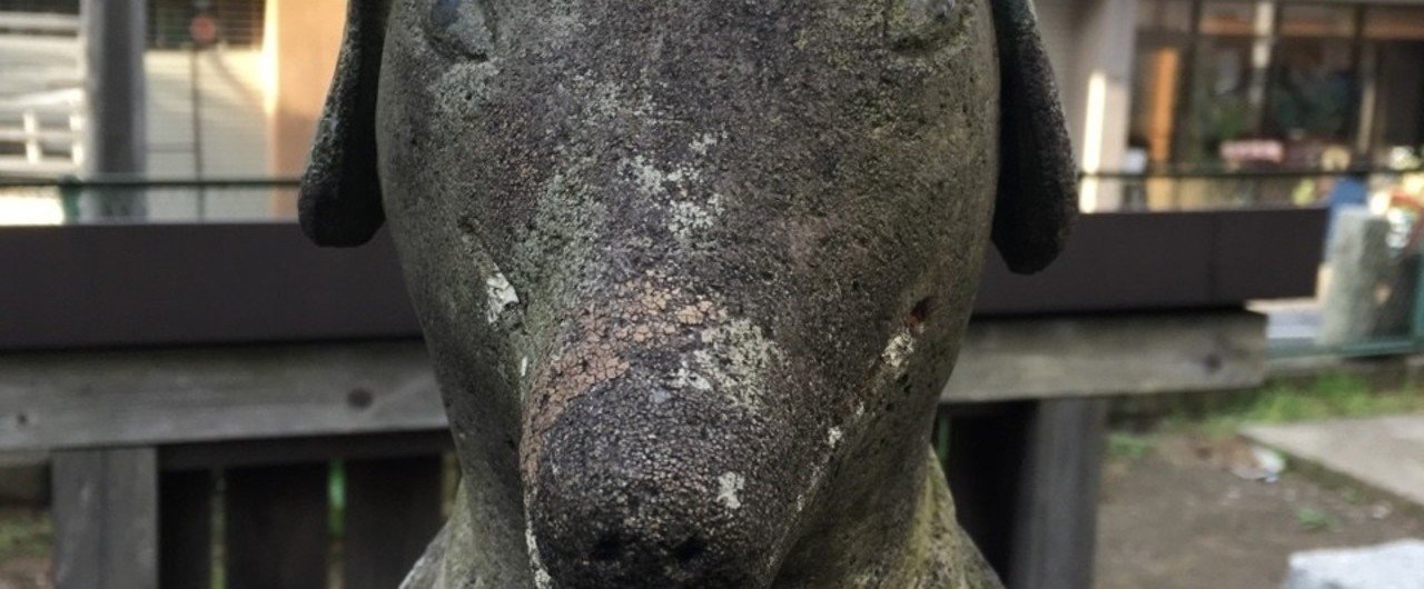 ゴールデンタイム｜Kazu IIDA｜note