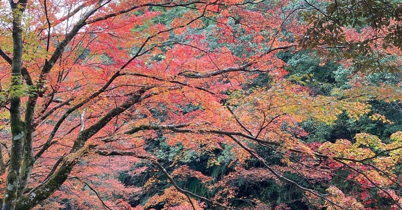 あー｜simasima｜note