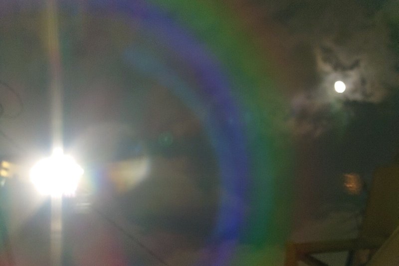 【トリビア】🌈虹の色って何色？🌈｜きむいさ