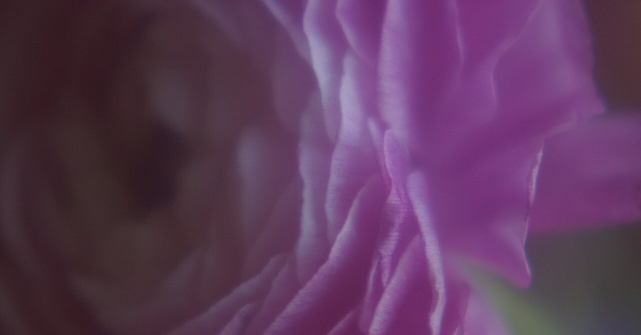 静けさの中へ。・。・。・。｜Cosmic Suzu｜note