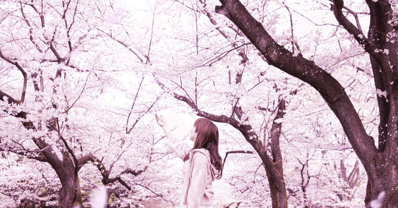 【RS：COLUMN】紅桜花の制作レポート。vol.3｜紅葉／reasnot｜note