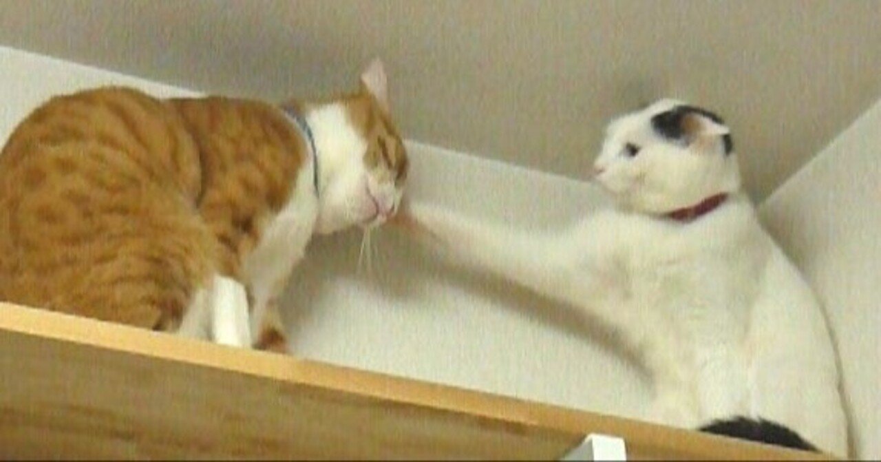 Kiyoshi Ishikawa｜note