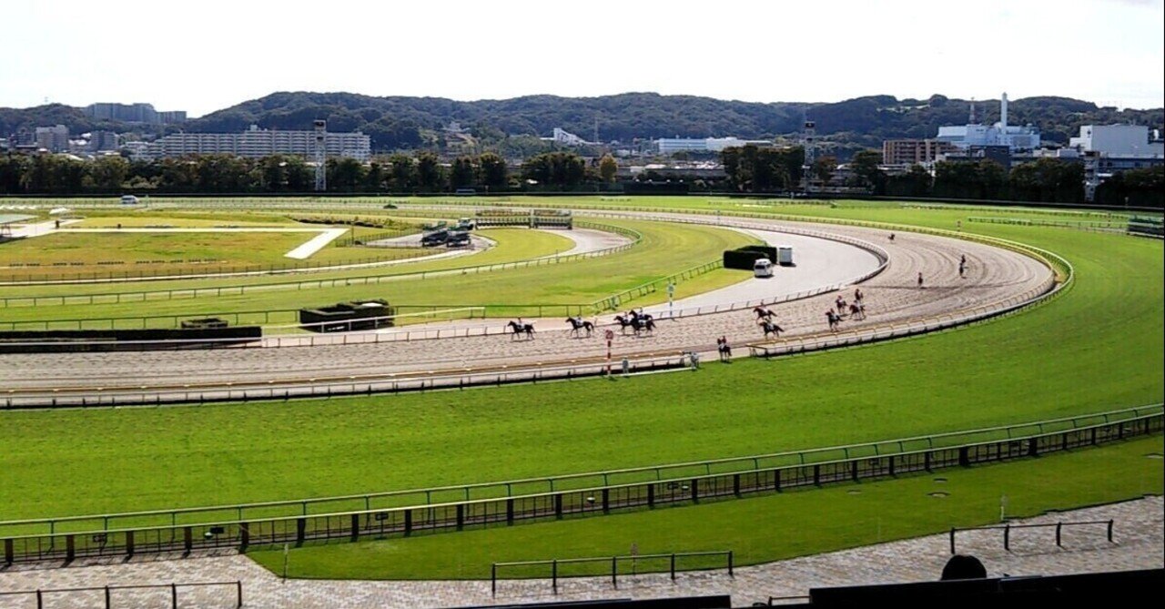 マイルCSがある日曜日WIN5｜ゆいち｜note