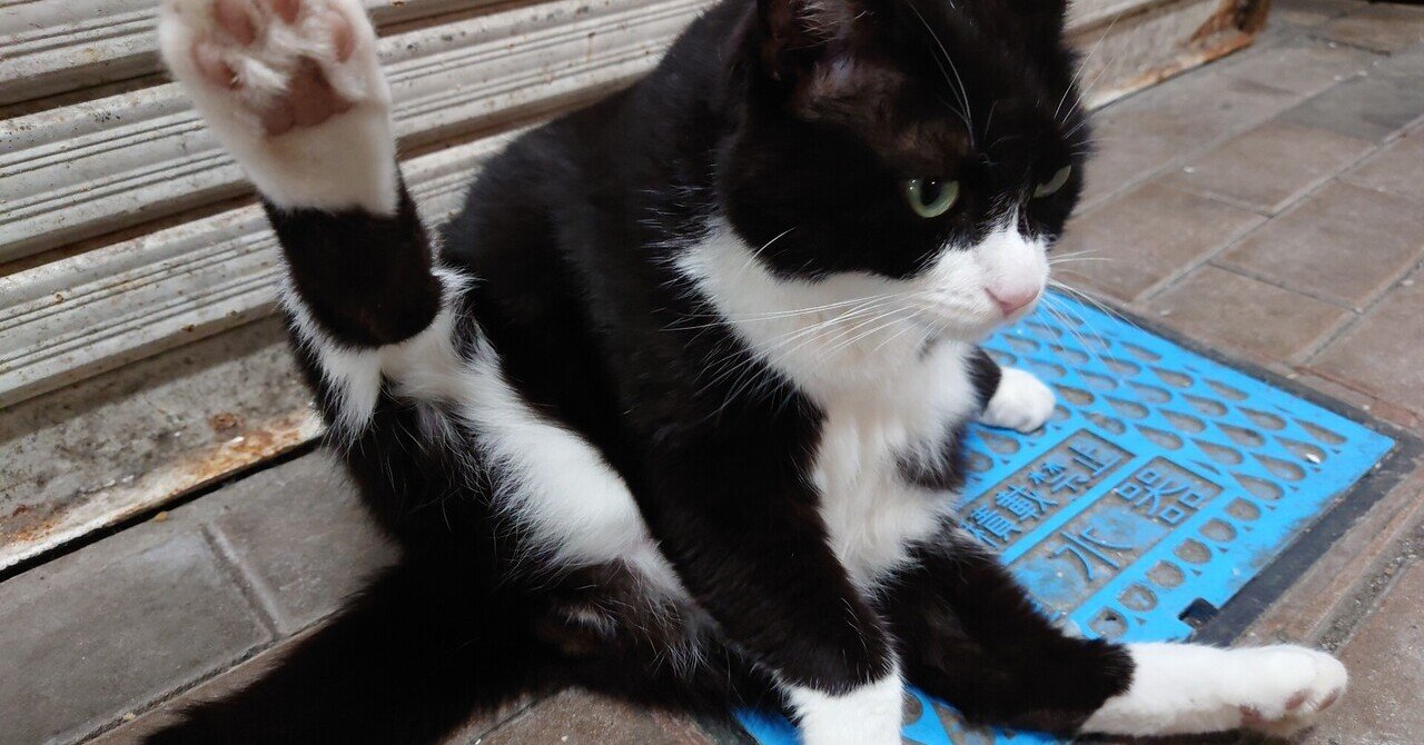 sendai_kabo3792｜note