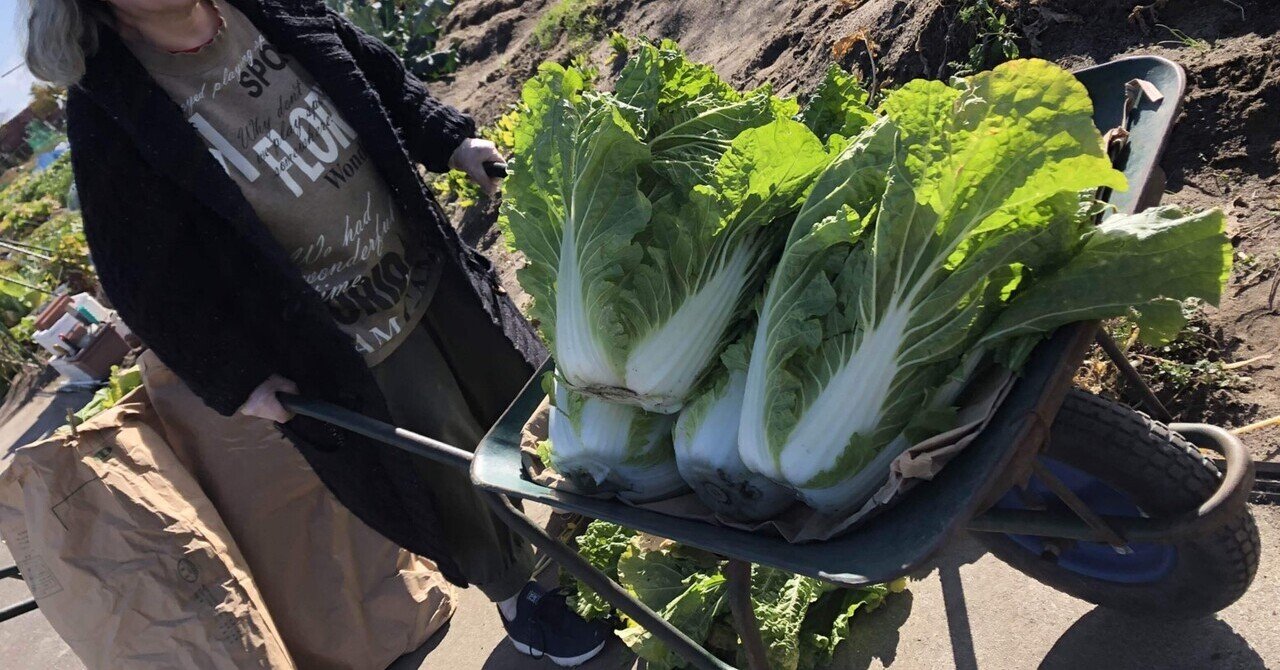 sendai_kabo3792｜note