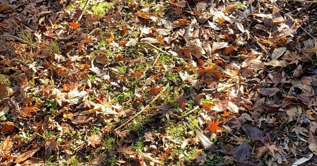 何もしないをしに、あえて何もないところへ。そうしたら、たくさんあった。｜notet