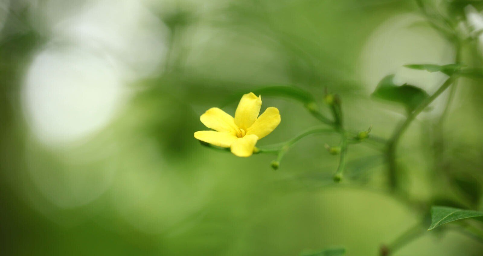 まとまらない人生| ななまるLabo｜note