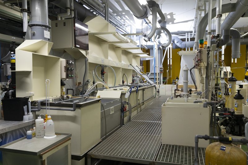 #7 立体配線技術「LDS」とは！？ 材料選定から量産までをご紹介｜EBINAX㈱ 未来開発室