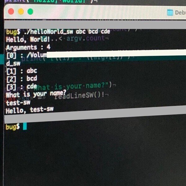 【Console Application】コマンドライン引数【学習記】｜SAYKA.