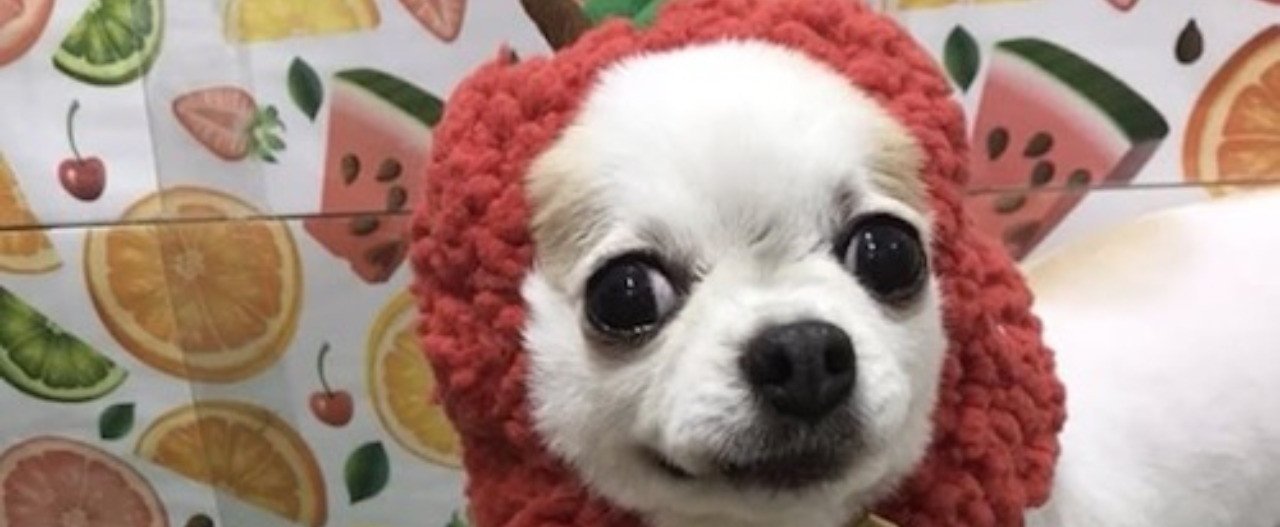 若い時は・・・｜Ryuji Manabe