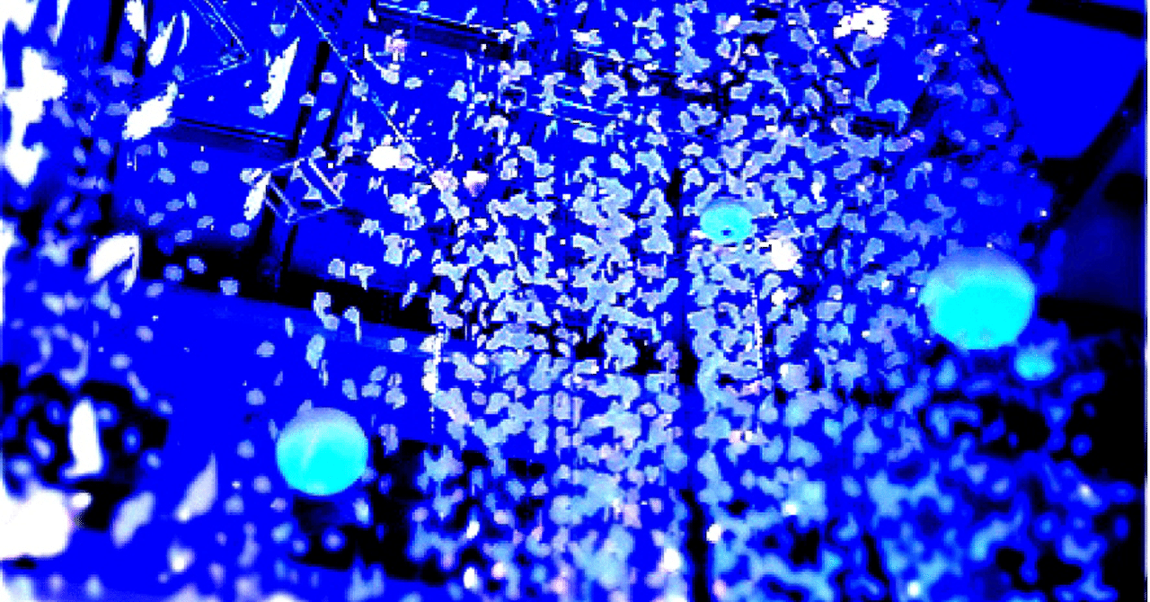 都に行ったはなし｜mizzy｜note