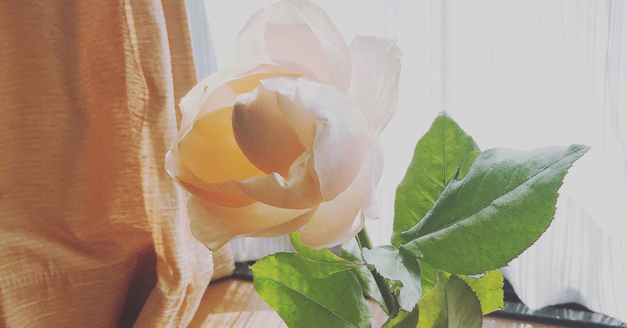 外向的HSP、HSE？｜kanako｜note