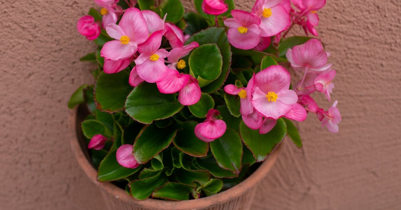 再投稿 [154] （2020/12/1）｜taku｜note