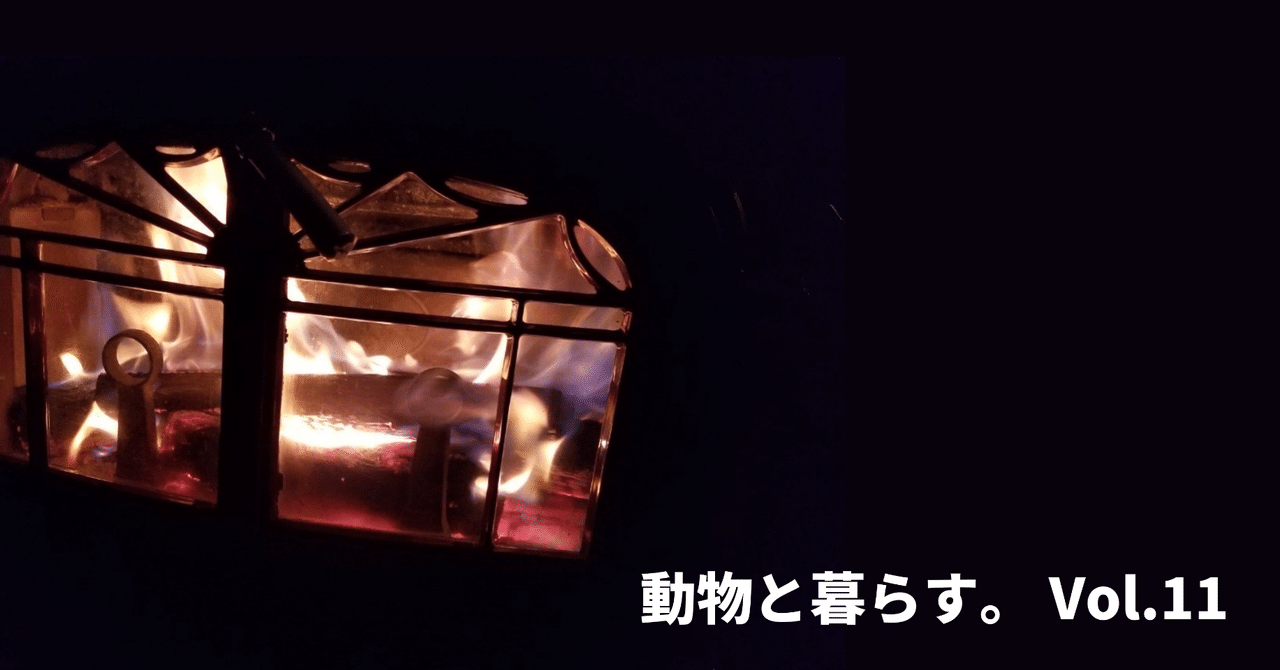 動物と暮らす。 Vol.11｜HEKA Petlife株式会社