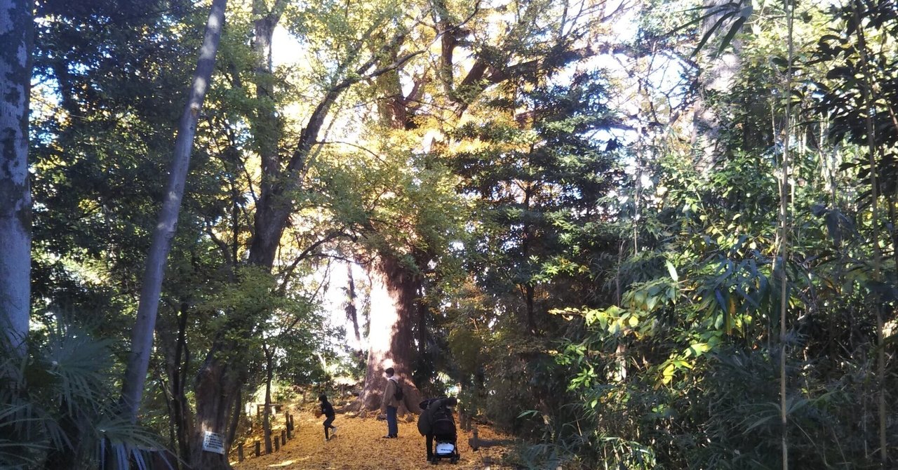 profits by Lester C.Thurow from Econlib.com 利潤 サロー｜福光 寛 中国経済思想摘記