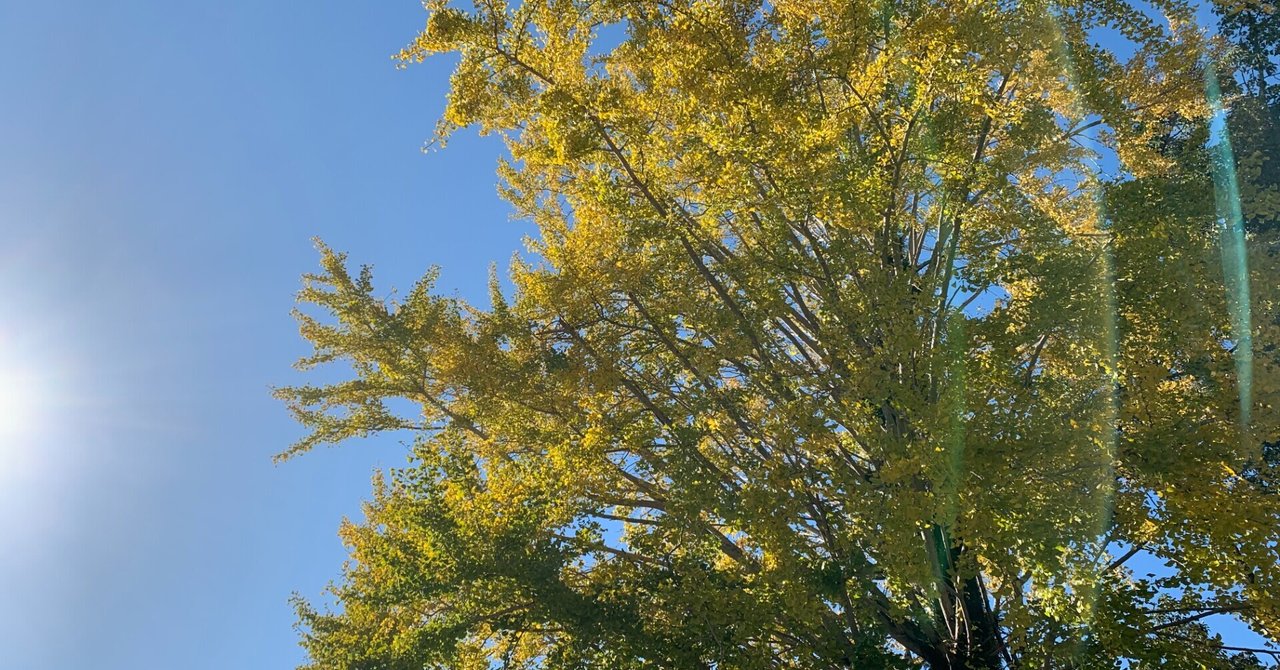 はじめまして。自己紹介です。｜みーな