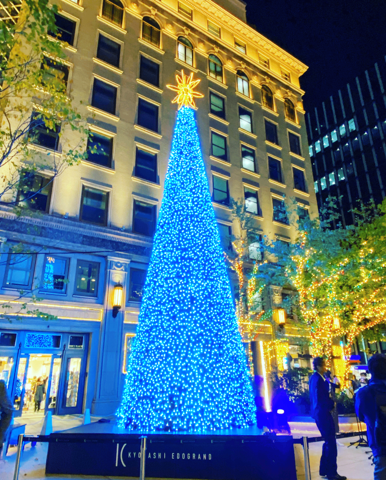 東京イルミネーション巡り〜文化財とのコントラストがステキなツリー ｜東京の建築&アート巡りオタク@tanrock