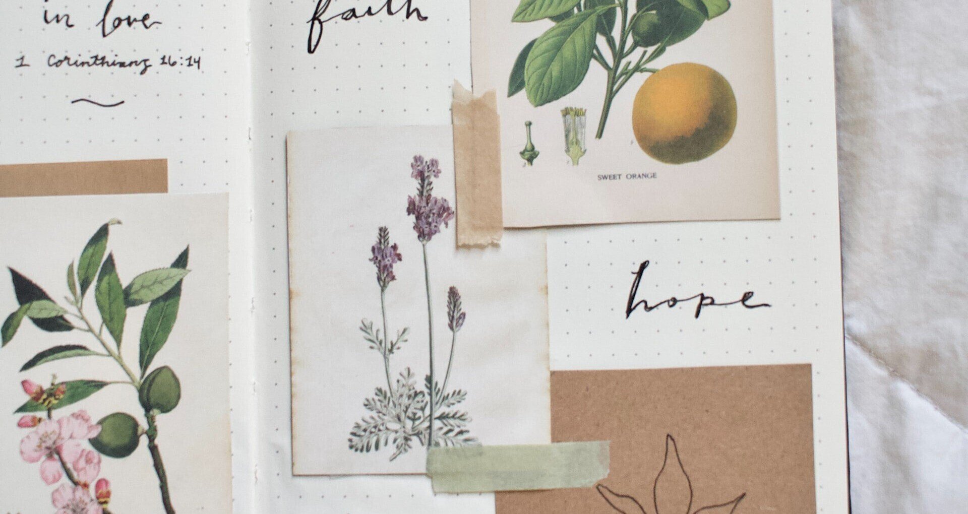 なち/ nachi｜note