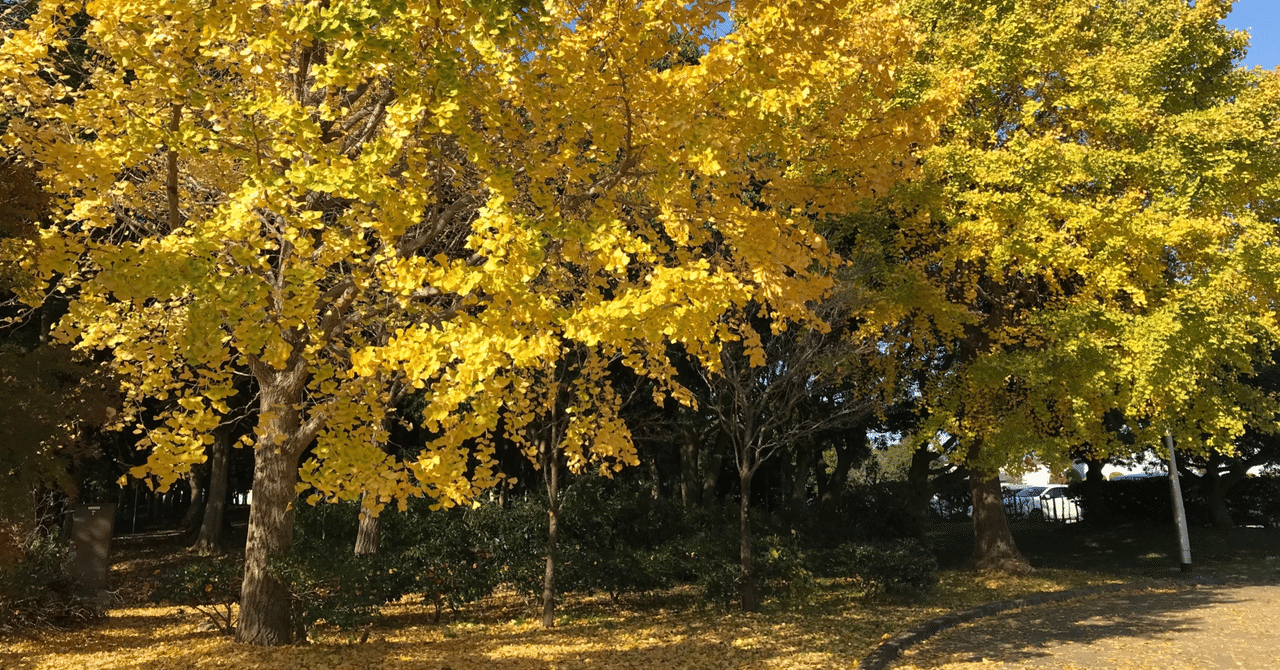 Audiostock 活動初心者（37）- 11月結果｜Acore Sounds