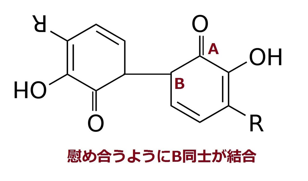 vol.2 ラッカーゼの自動酸化反応｜竹渕瑛一（GRGSIBERIA）