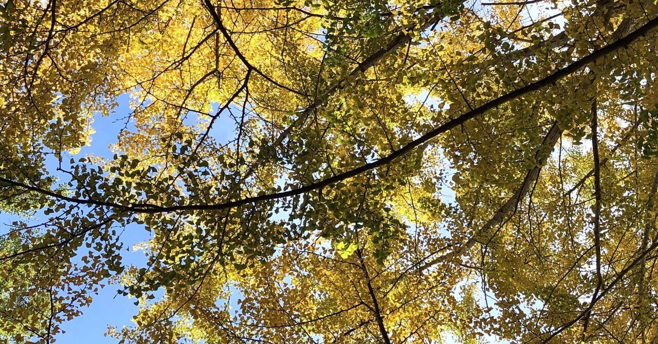 人の為にしない｜yushi sato