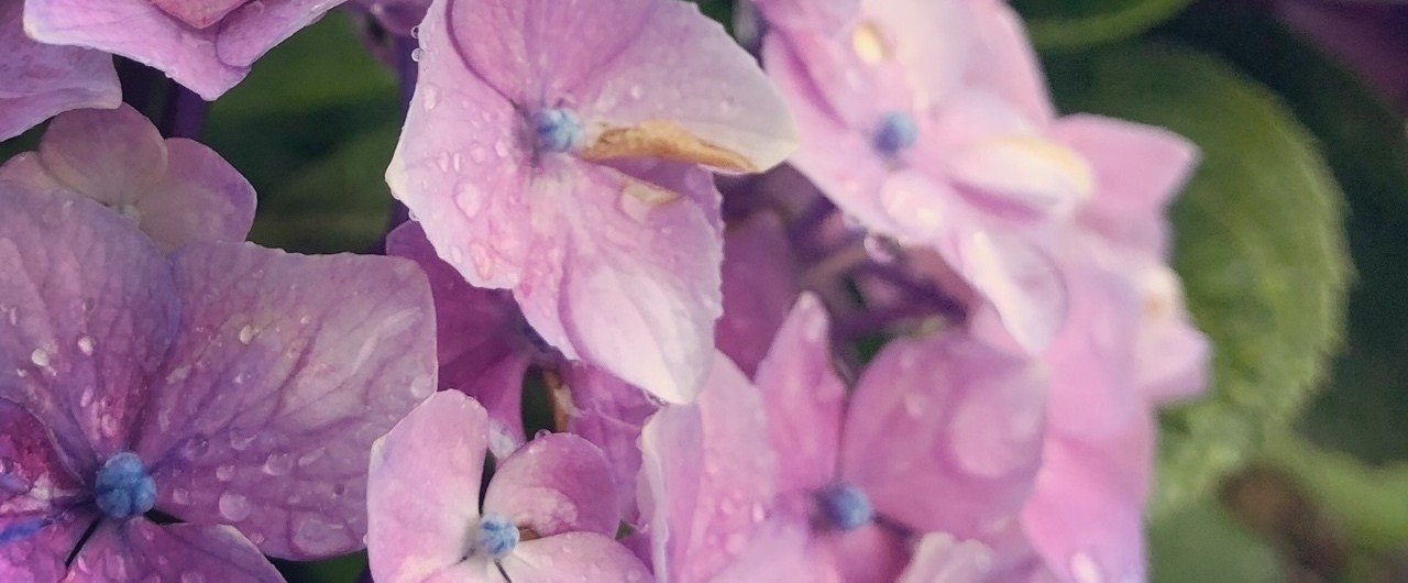 降る音｜reiko_befree｜note