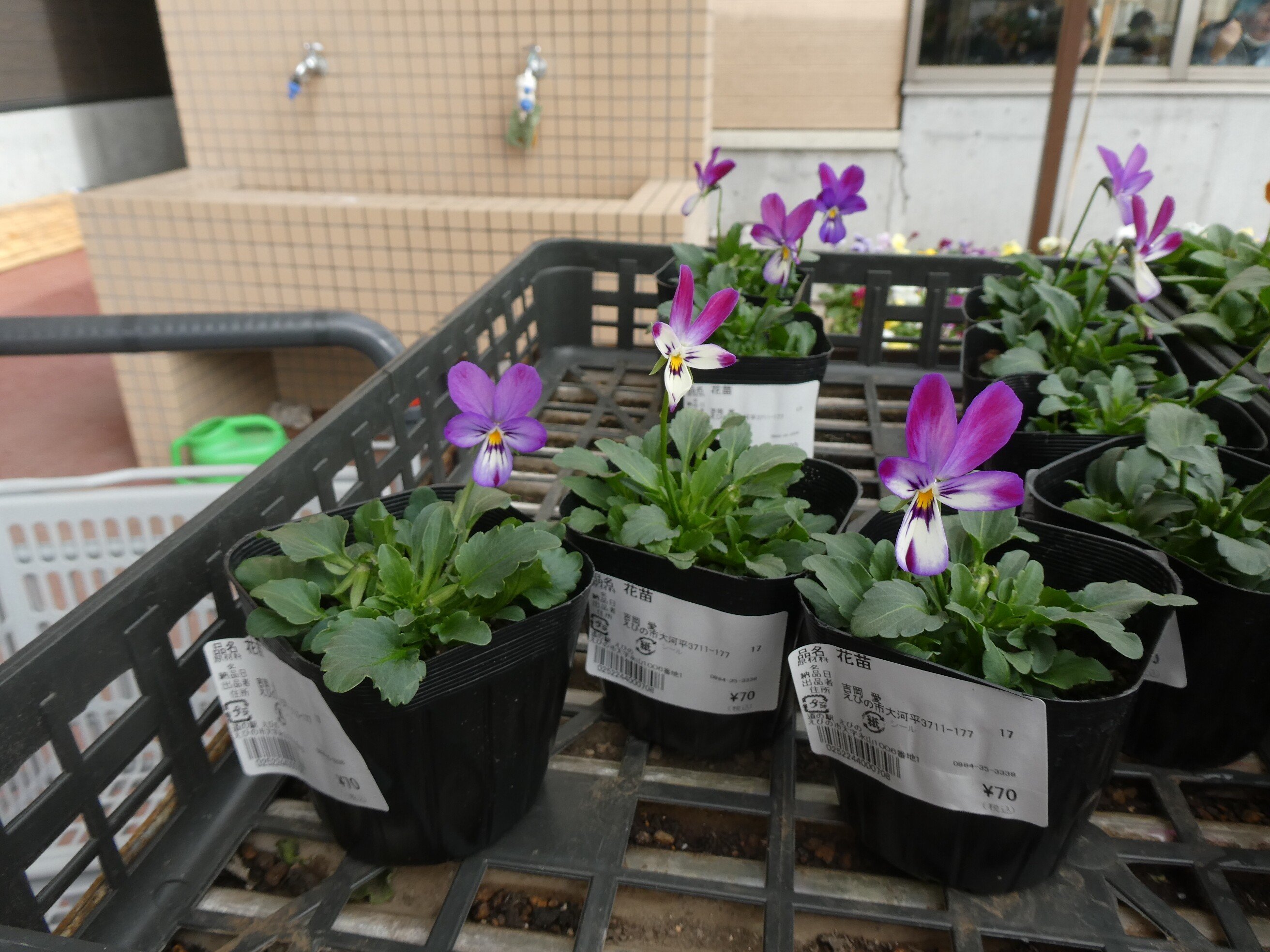 12月15日(水）今日の一日。｜銀色夏生