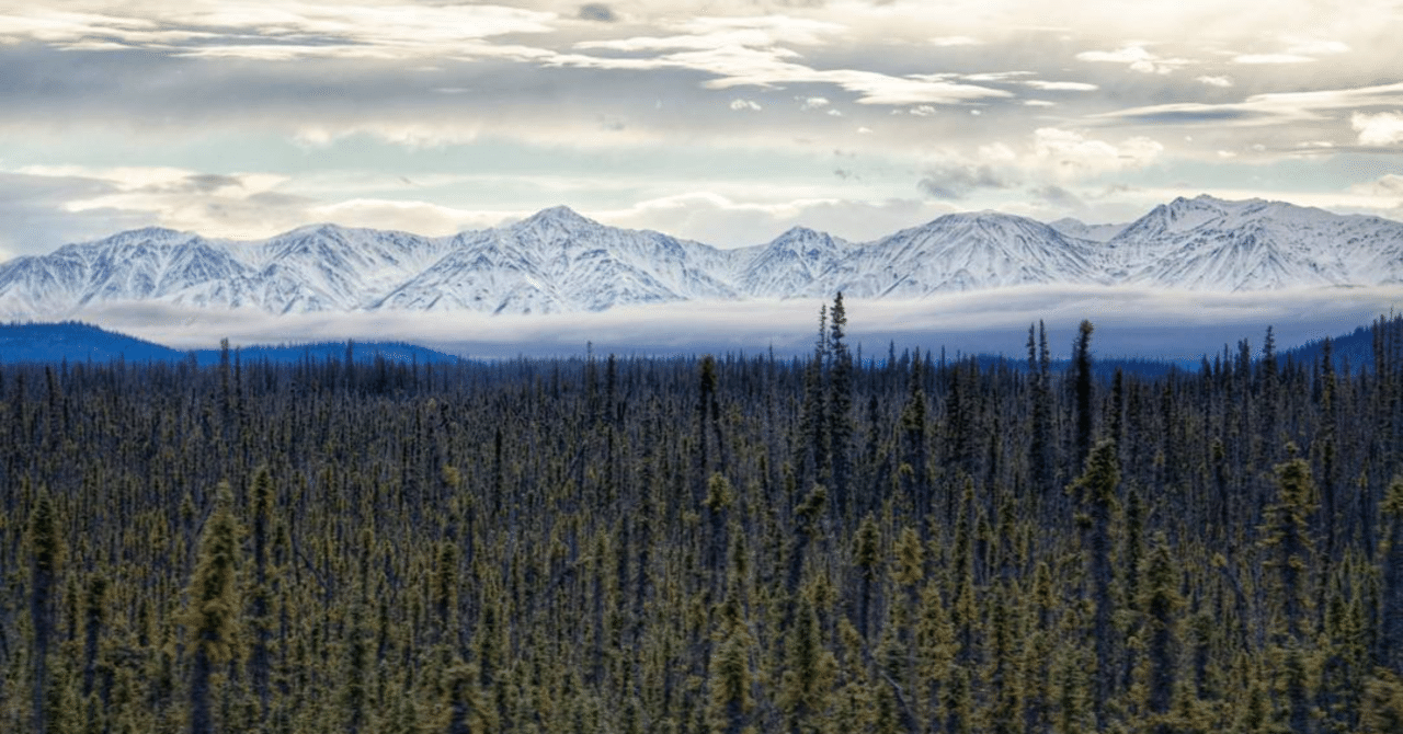 南北アメリカ自転車縦断 アラスカ(11)｜mitsu