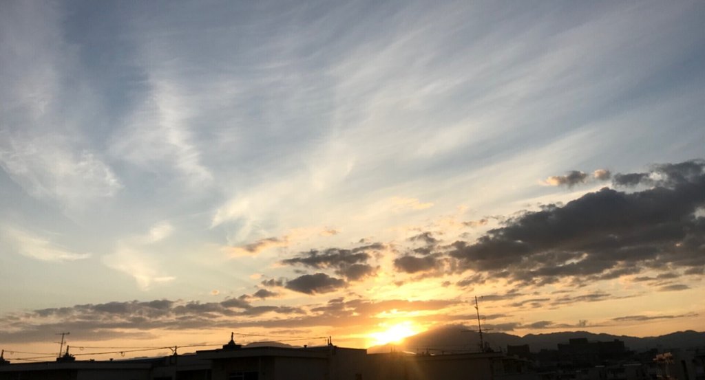 はつ|note