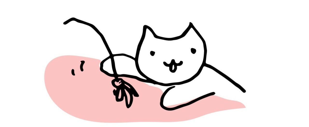 猫カフェに行ったら疲れた話｜tenohiradesign｜note