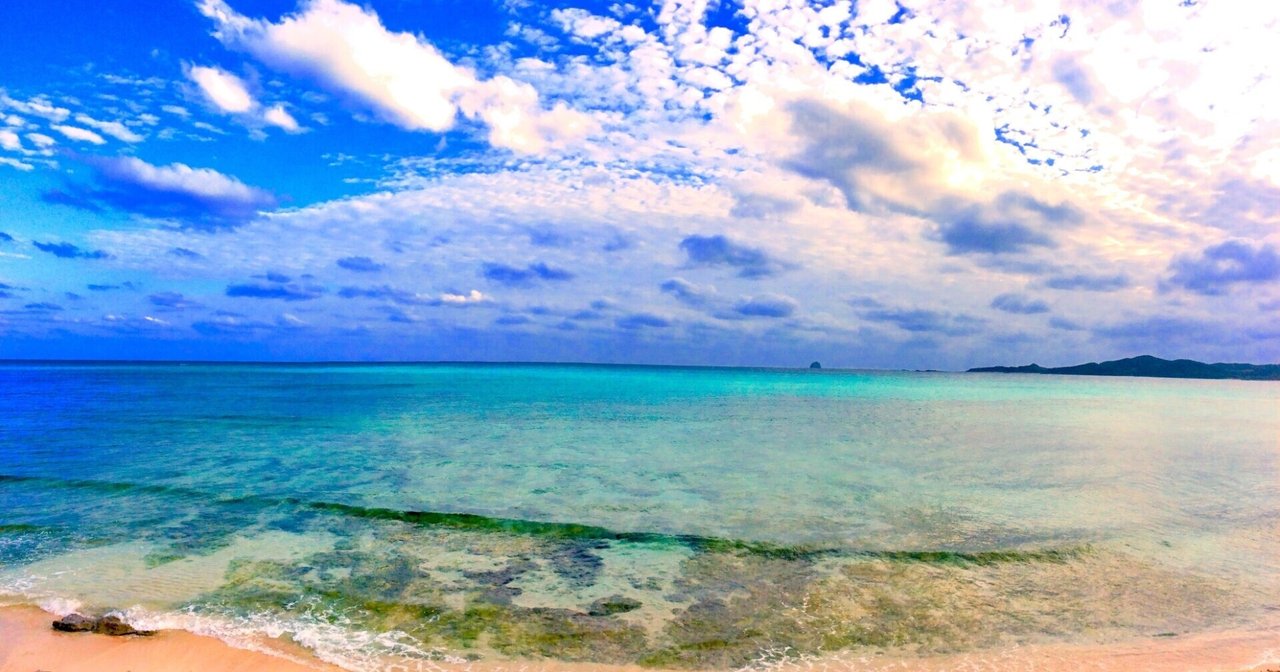 Netflix創業者の新著「No Rules」から学ぶ｜Daichi Williams