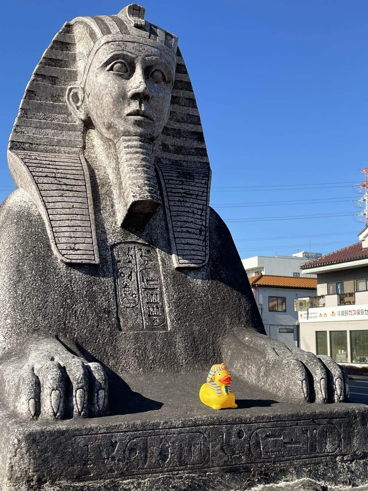 Although we’re not in Egypt,little Sphinx duck has finally met his ...