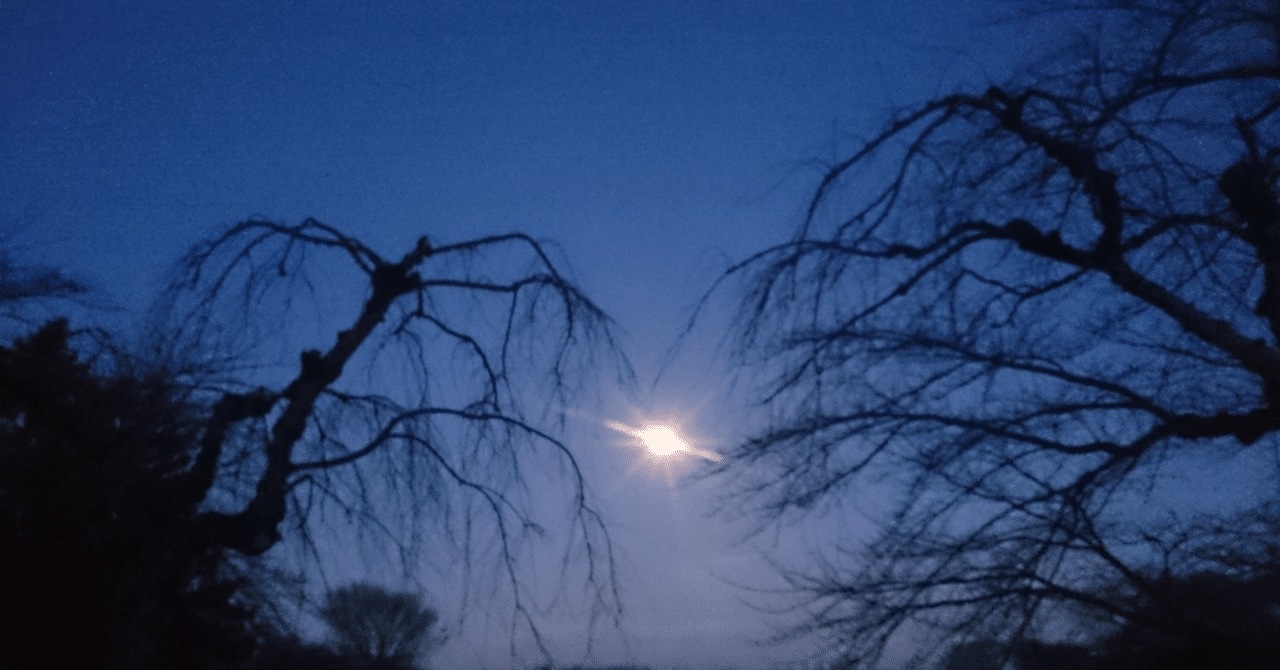 奇跡のコース実践記録29｜(Linp&Ruru) 本当の自分を知り、本当の自分として生きる｜note