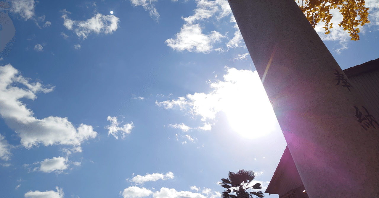 ズボラ健康オタク彩irodoriの2021年はこんな年でした。｜彩irodori AYA｜note