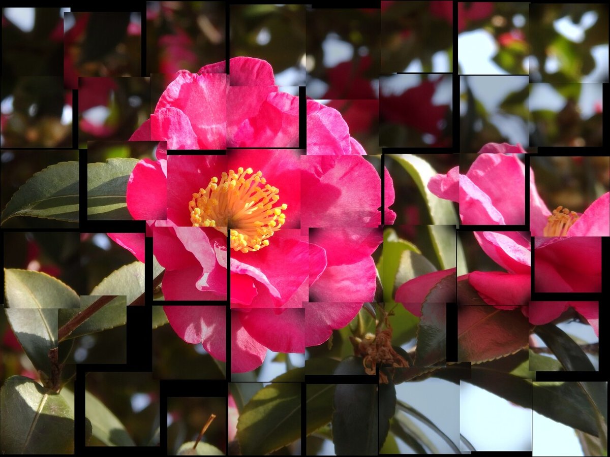 強すぎませんか!? STYLUS SH-3｜Daichi Okamoto