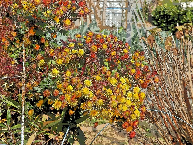 強すぎませんか!? STYLUS SH-3｜Daichi Okamoto