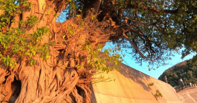 福田純也 Junya Fukuta｜note