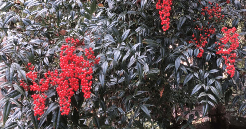 yumi kobayashi｜note