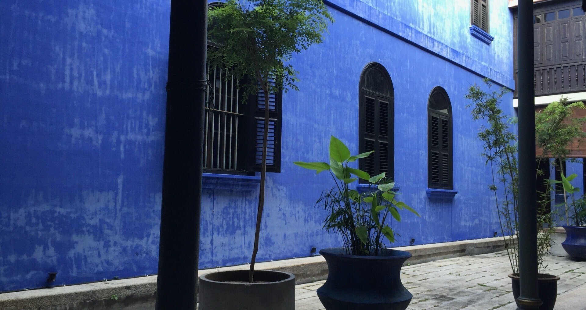 weeping willow｜note