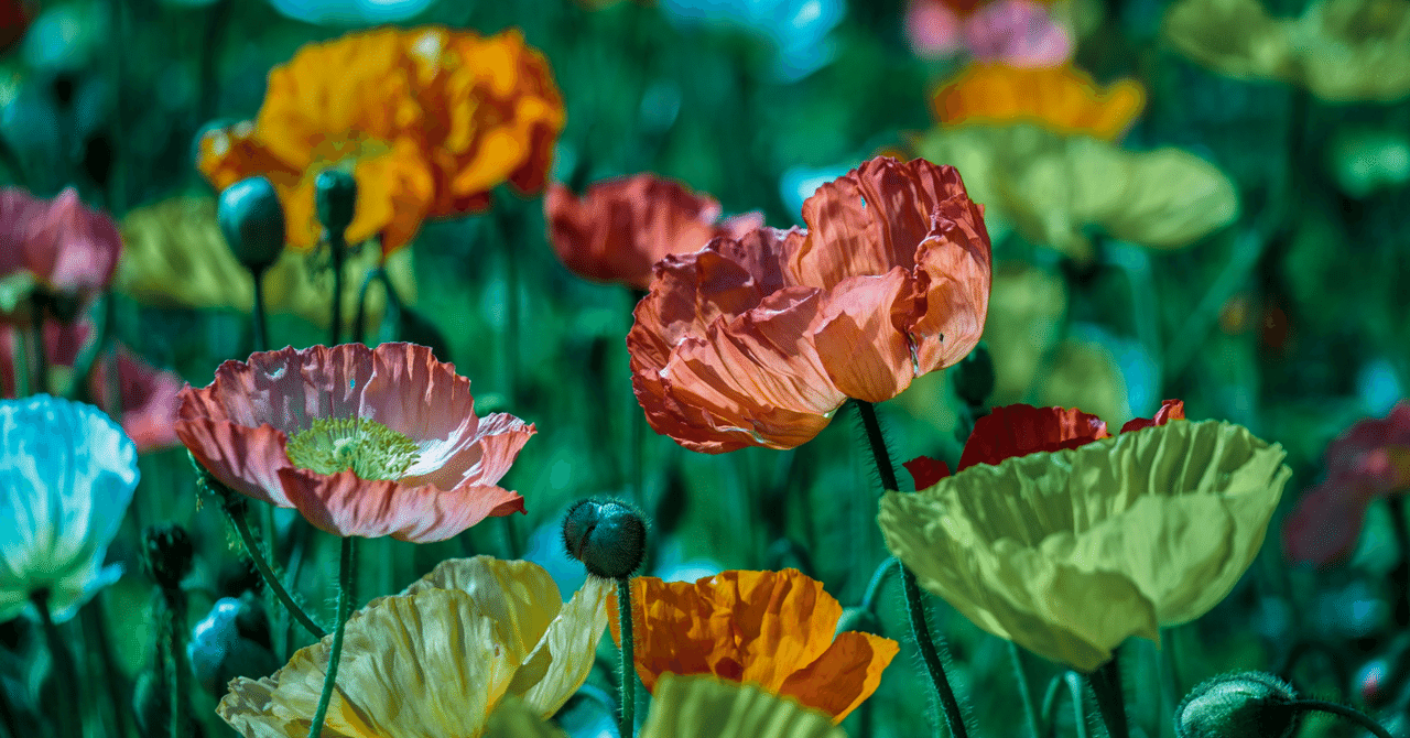 #本日の一曲 : TSHA - "Power"｜Minimal Order｜note