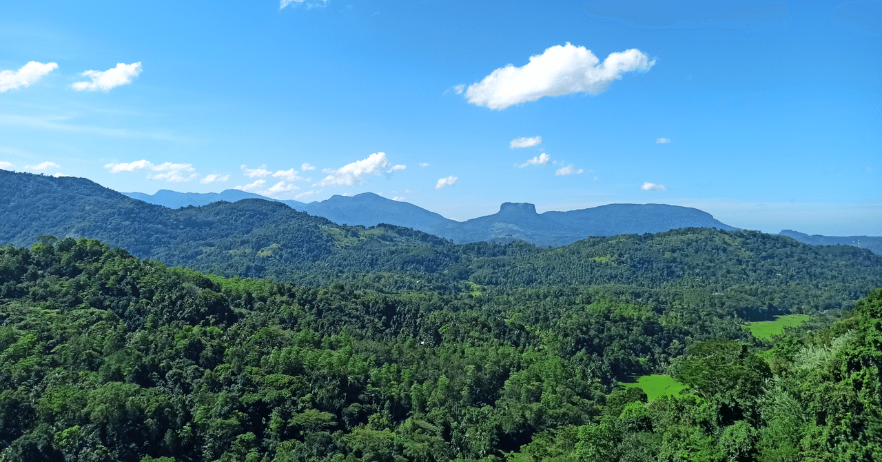 初詣のこと｜J M Chieko｜note