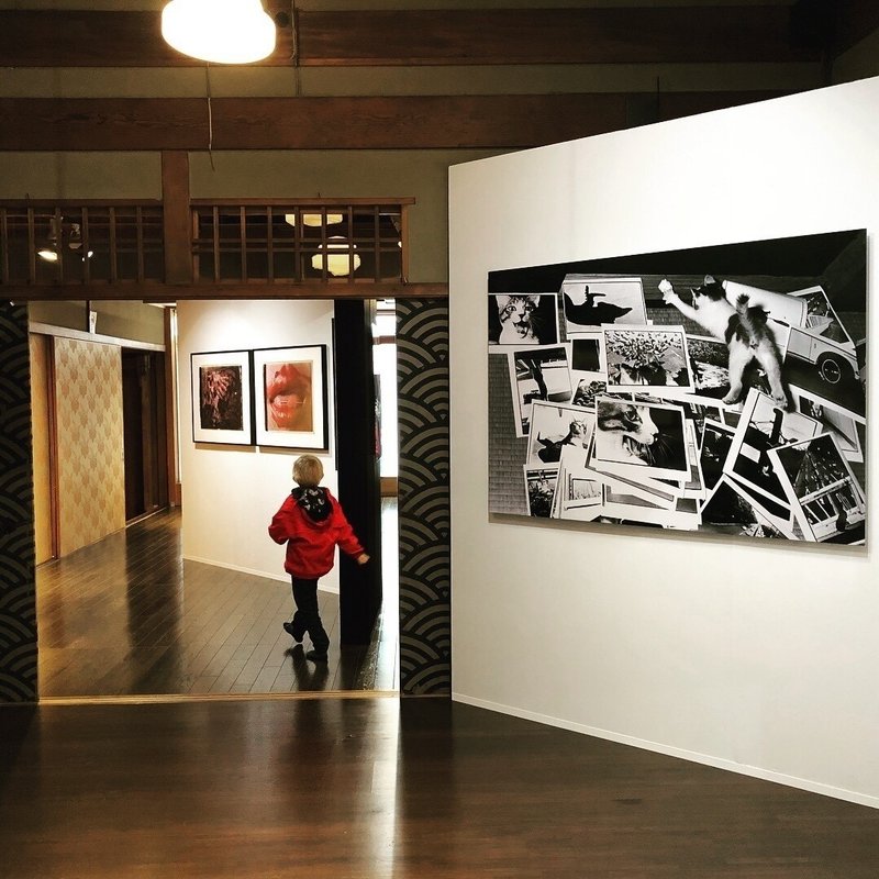 わたしと猫｜reiko_befree｜note