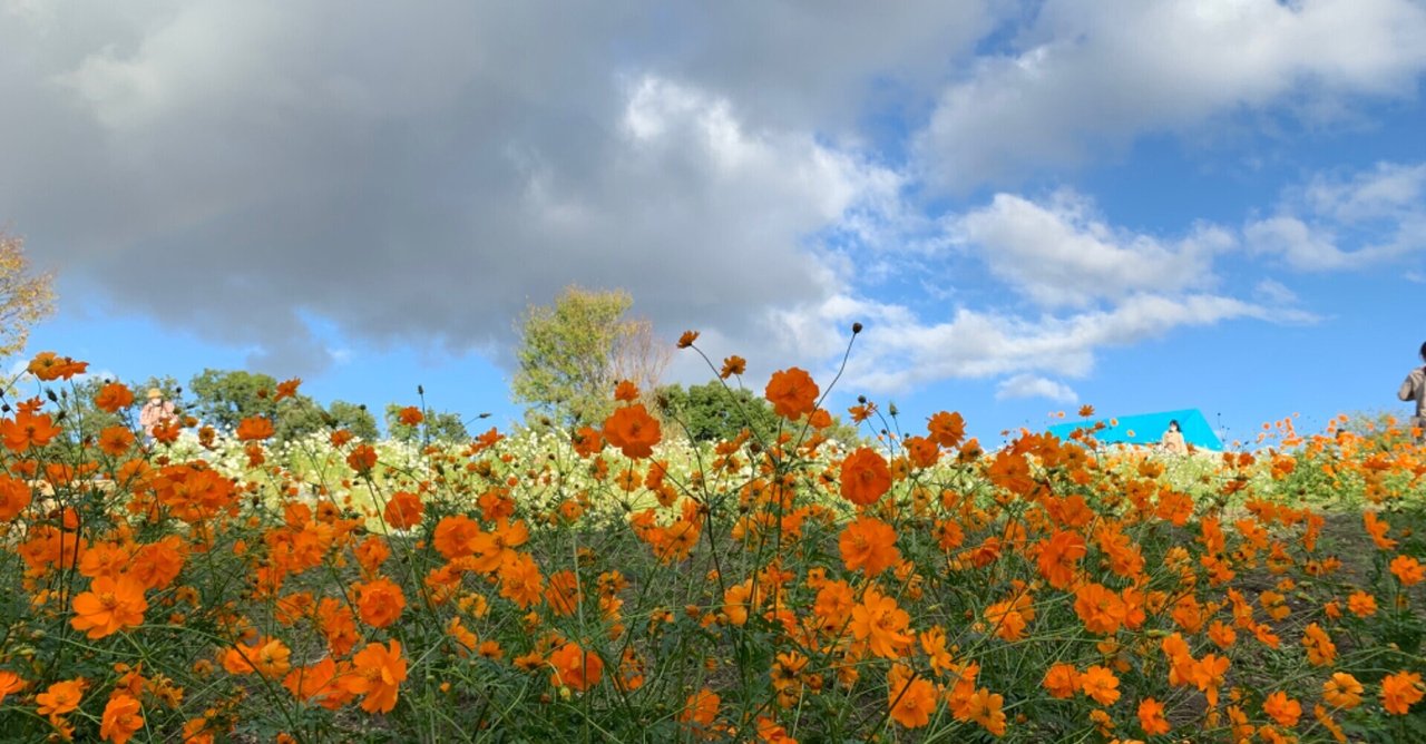 しあわせ｜chieyu｜note