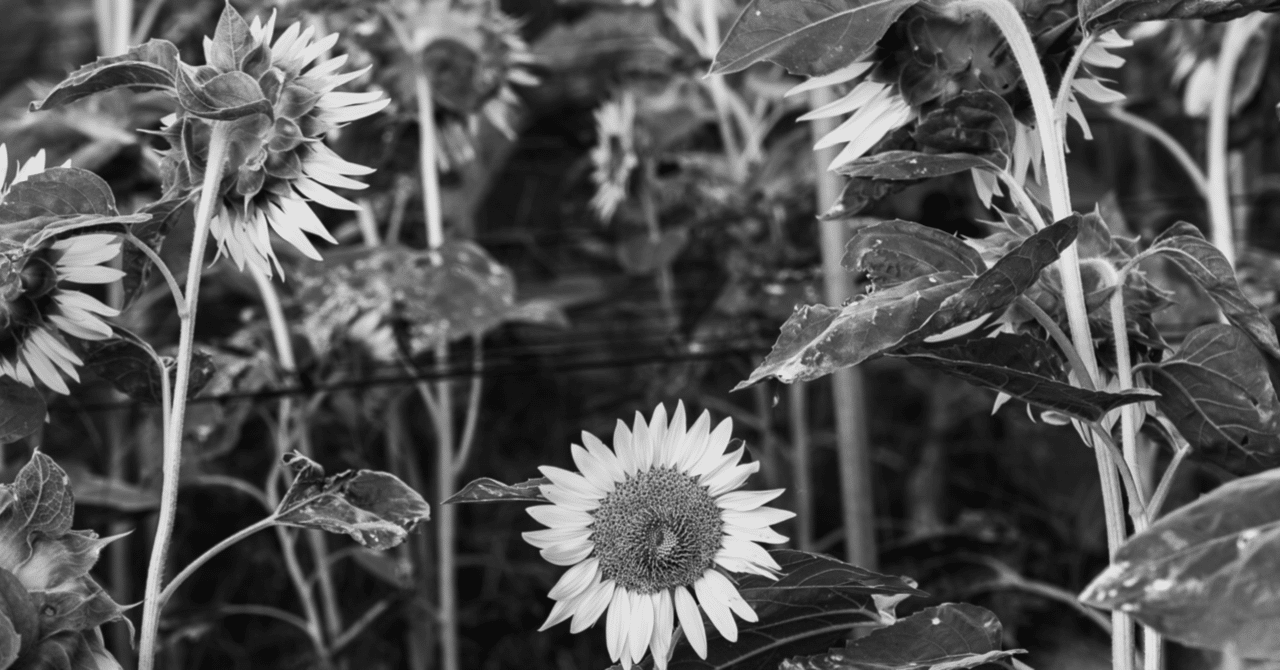 物語に触れていると。｜WADA HITOMI｜note