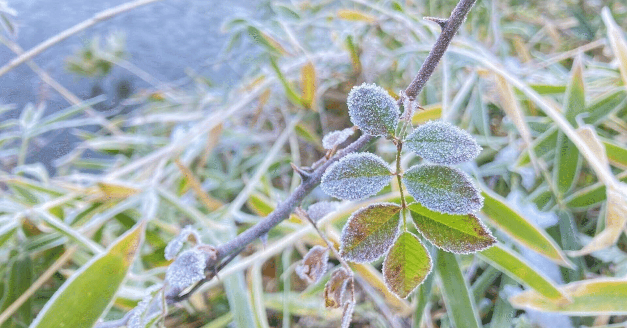 自給自足の意味。｜taichi imamura
