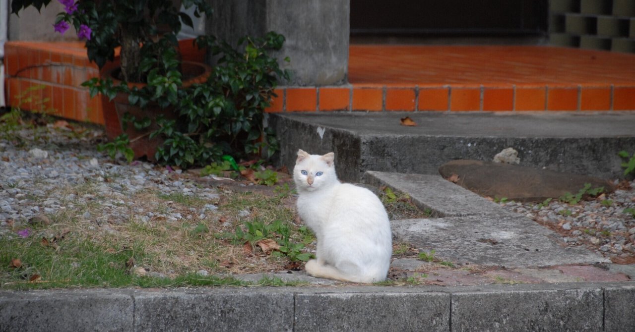 以心伝心｜38gi.ryu｜note