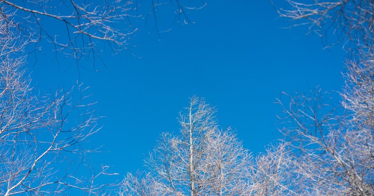 はじめての雪山｜Gota Shinohara